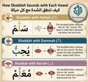 Shaddah In Arabic And Tajweed: Meaning, Rules, And Quranic Examples ...
