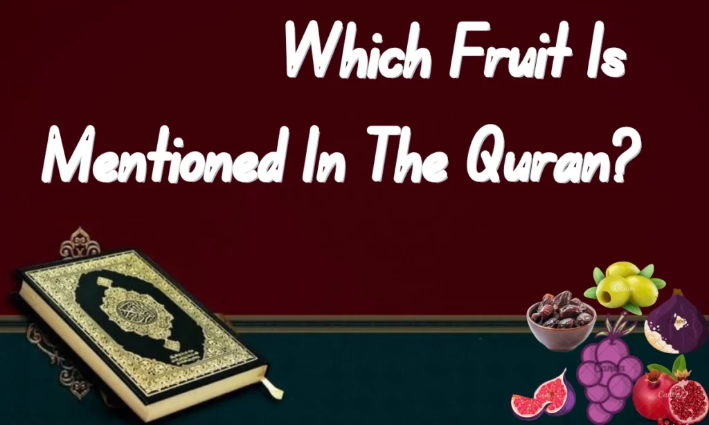 Fruits Mentioned In The Quran - Buruj Academy